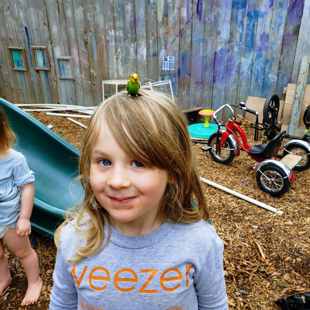 Our Space – The Burrow School